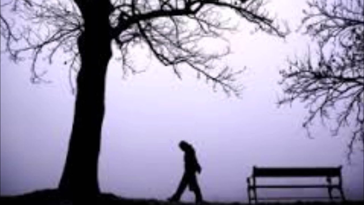 Dear Mr President - Pink - LYRIC VIDEO - YouTube