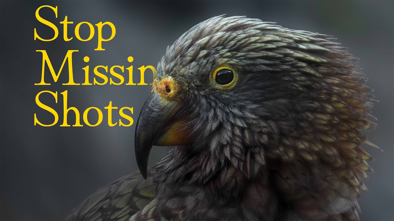 Stop Missing Shots, Be More Mobile (Nikon Z8) - YouTube