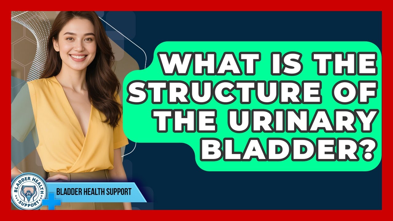 What Is The Structure Of The Urinary Bladder? - Bladder Health Support ...
