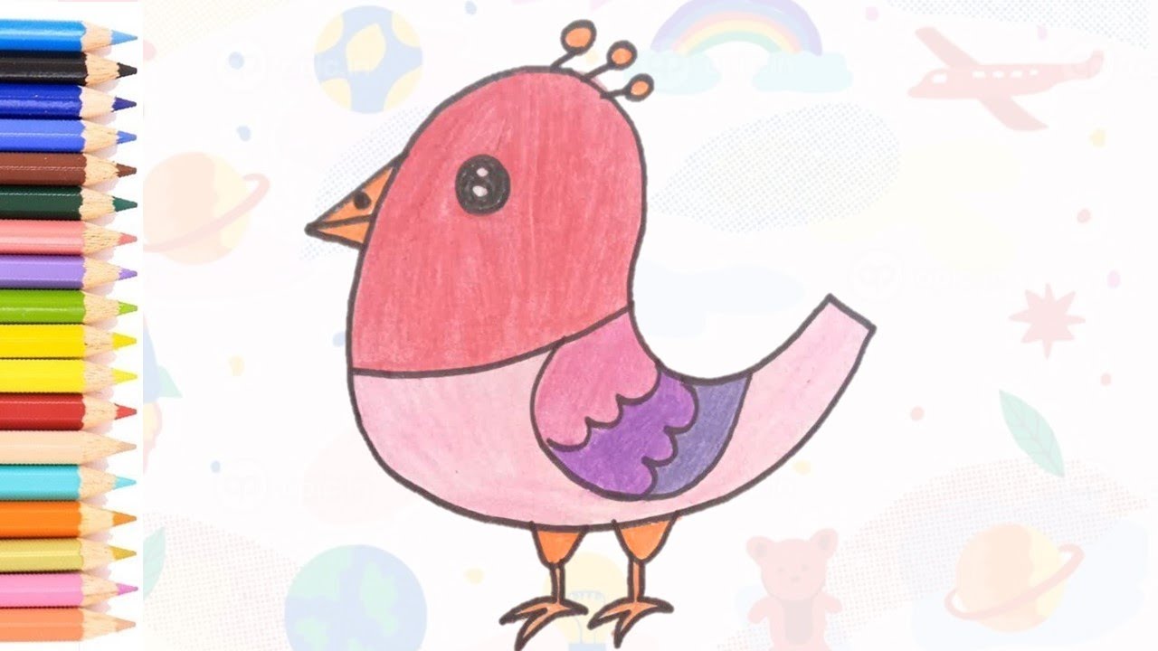 How to draw a pigeon| pigeon drawing | pigeon drawing colour | pigeon ...