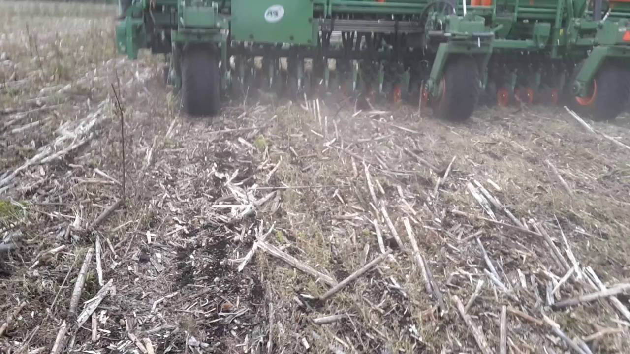 Stara planter notill - YouTube