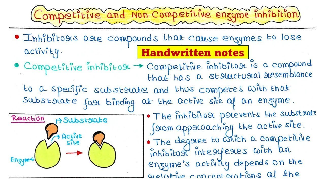 Enzyme inhibition | Competitive vs Non-competitive - YouTube
