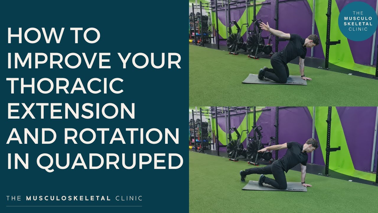 How to improve your thoracic extension and rotation in quadruped | The ...