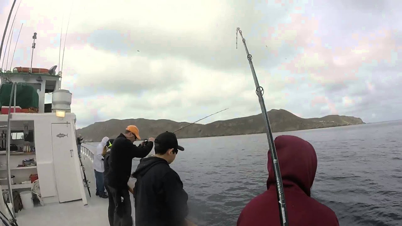 San Diego Malihini 3/4 day fishing 04/24/15 - YouTube