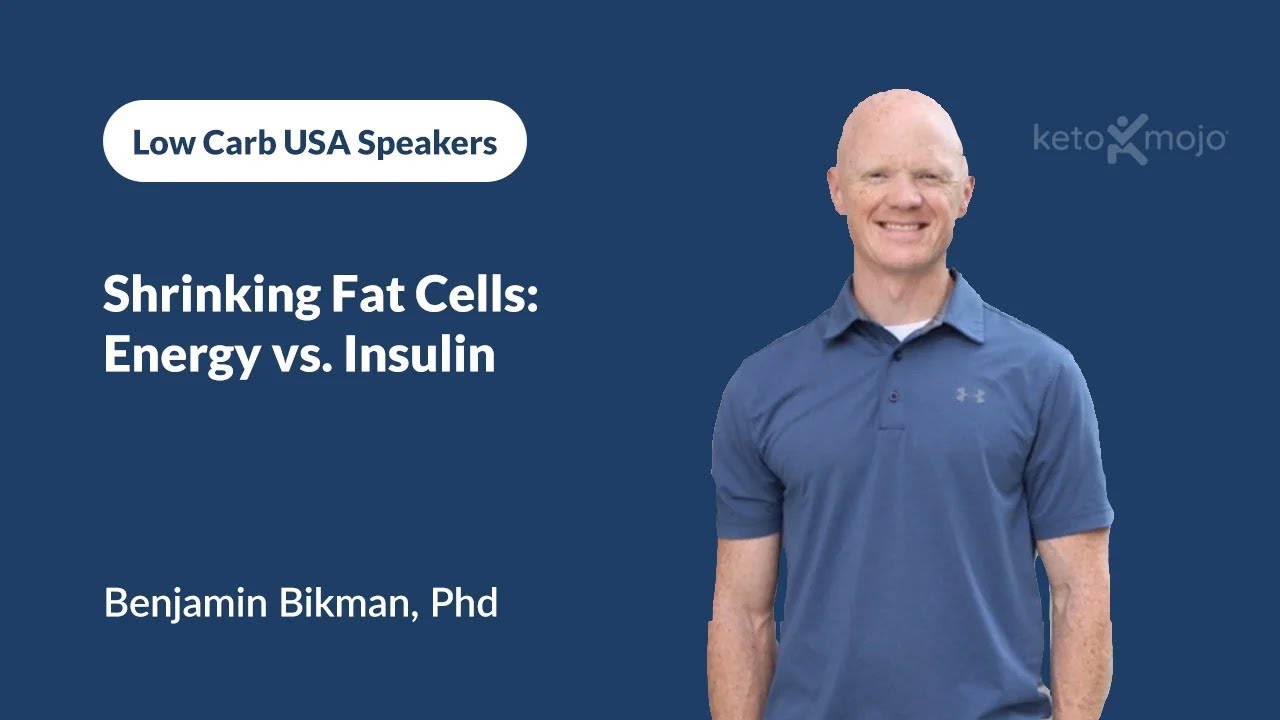 Dr. Ben Bikman - 'Shrinking Fat Cells: Energy vs. Insulin' - YouTube