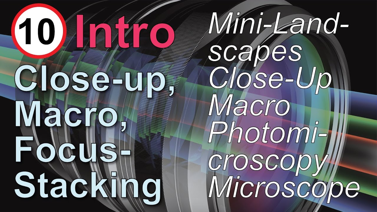 The Types of Macro Photography: Close-up, and Focus Stacking, Part 10 ...