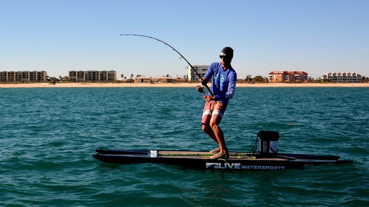 Anglers Dragged to Sea by Giant Fish - paddleboard fishing - YouTube