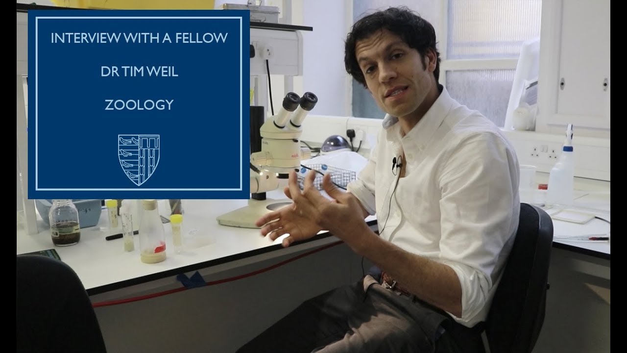 Interview with a Fellow: Dr Tim Weil, Zoology - YouTube