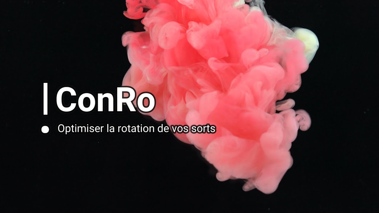 ConRo : Installer et utiliser l'add-on ConRo dans World of Warcraft ...