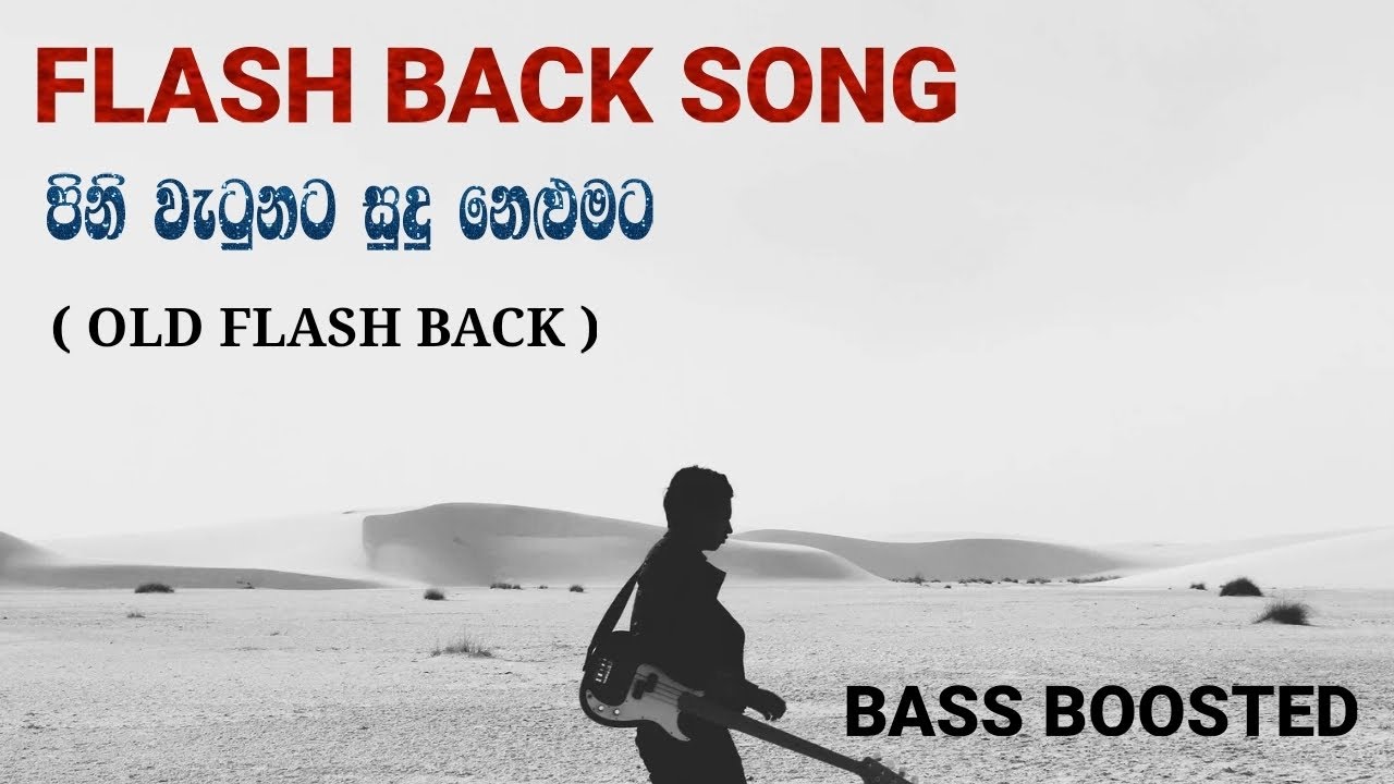 PINI WATUNATA SUDU NELUMATA / FLASH BACK SONG / BASS BOOSTED - YouTube