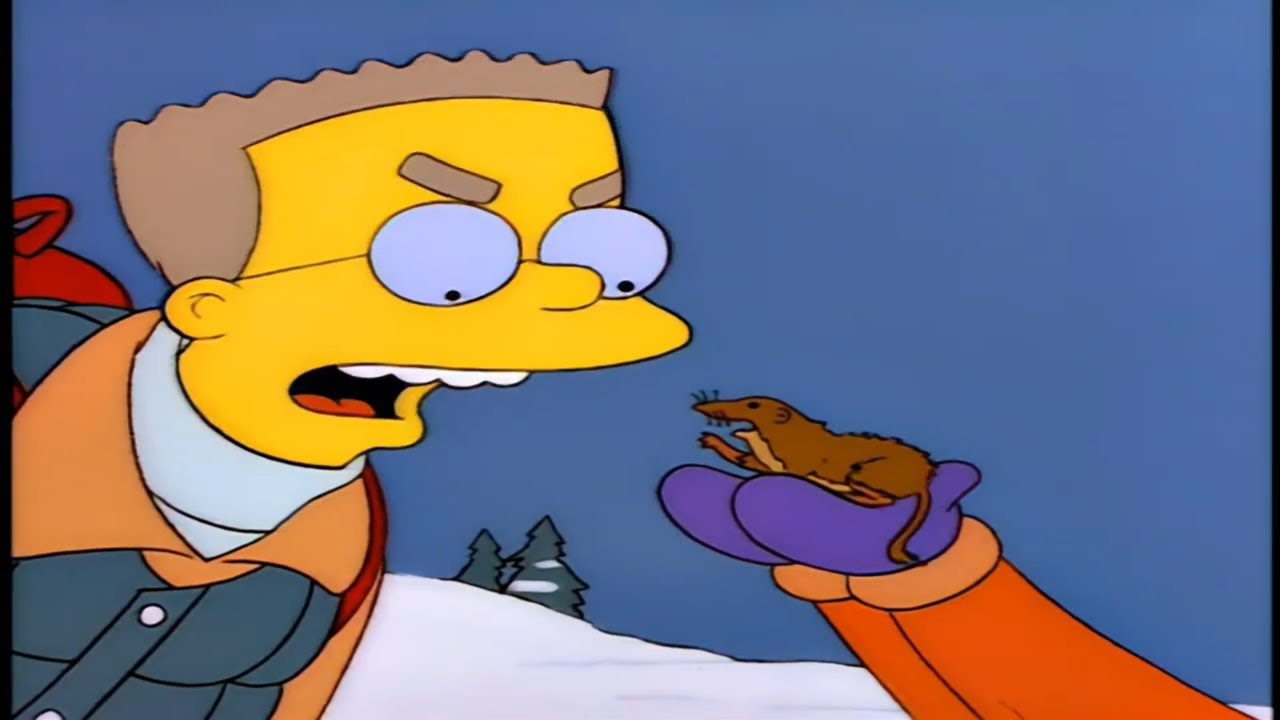 Simpsons - Found A Hurt Shrew (from "Mountain of Madness") - YouTube