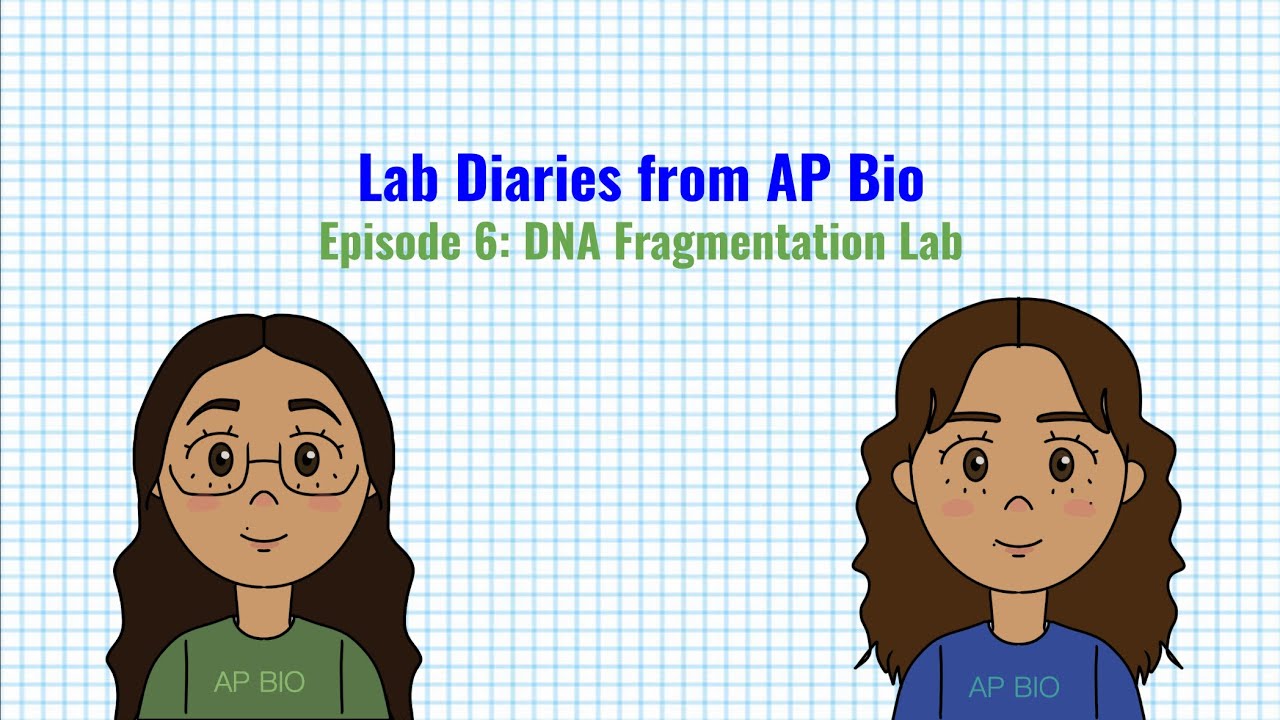DNA Fragmentation Lab | Episode 6 - YouTube