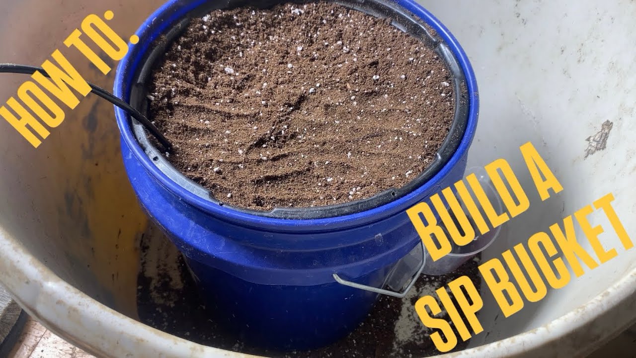 HOW TO: DIY SIP BUCKET -New grow series- EP1S1 SIP’n’GROW W/ ME - YouTube