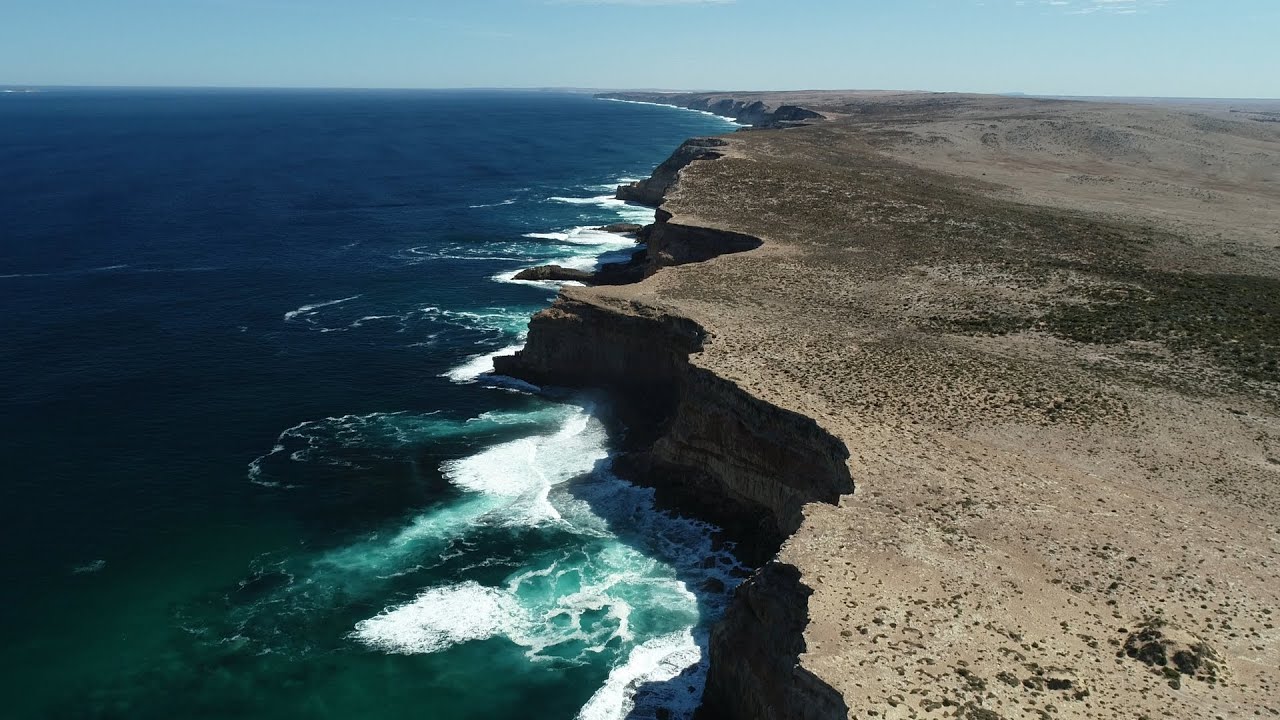 Australia's Great Southern Reef gains international recognition - YouTube