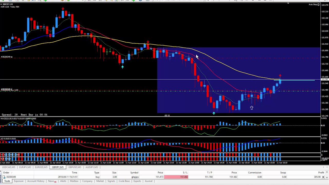 PIP TRIGGER - Trading System - YouTube
