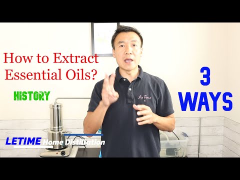How To Extract Natural Oils From Plants