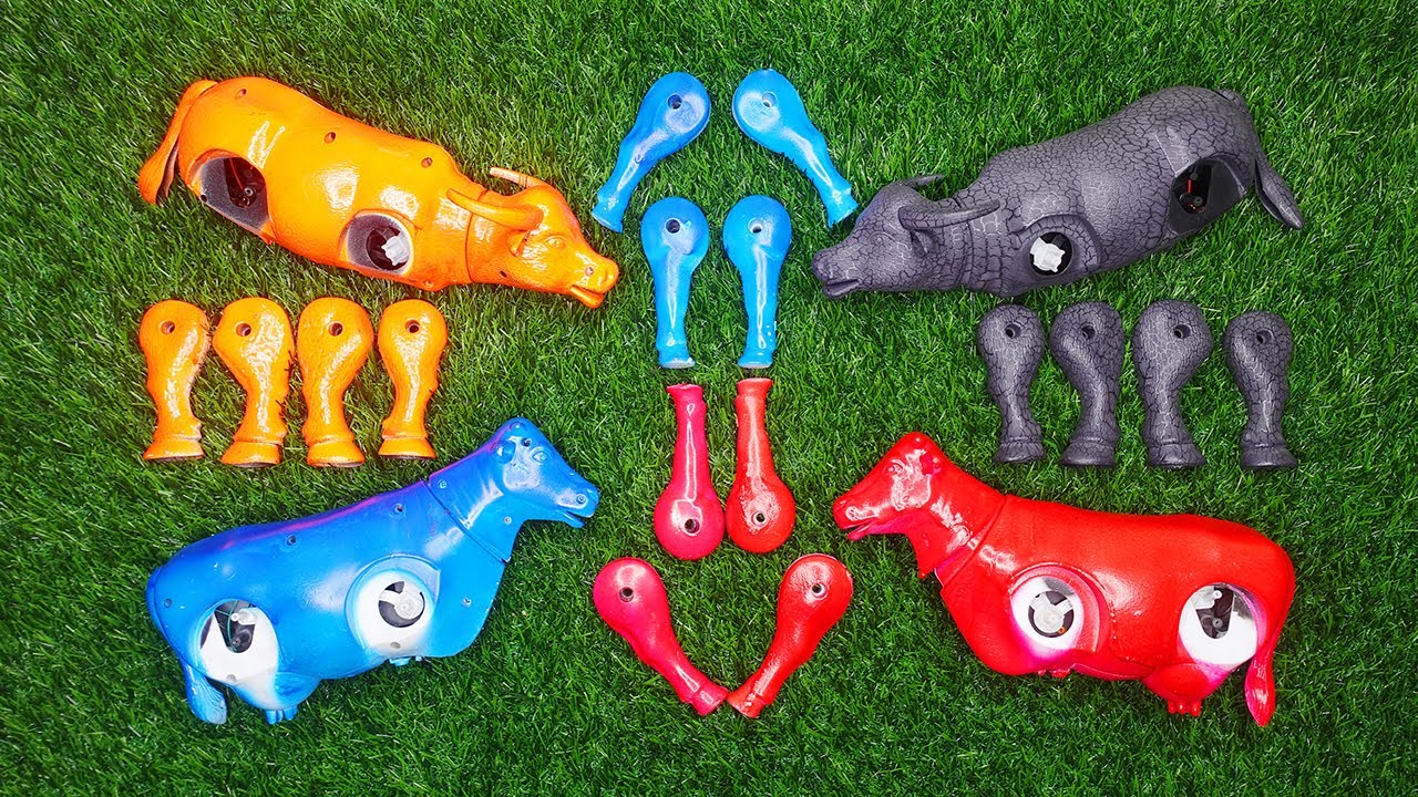 Merakit Sapi Merah Sapi Biru Sapir Oren Kerbau Sawah Berlumpur - YouTube