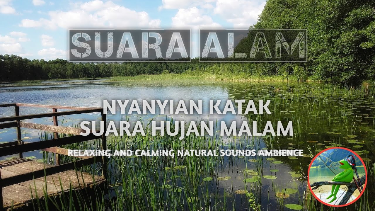 Frogs Croaking, Thunders and Heavy Rain Relaxing Nature Sounds,Tinnitus ...