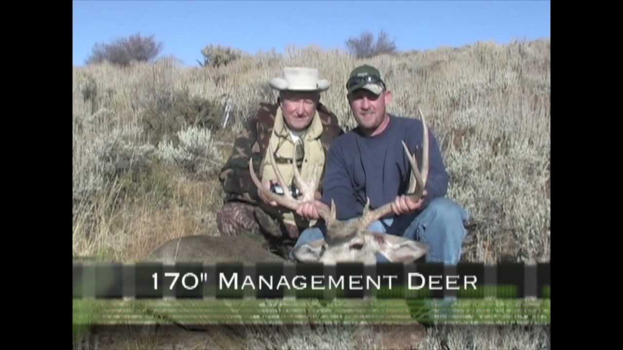 170" Mule Deer Hunt - YouTube