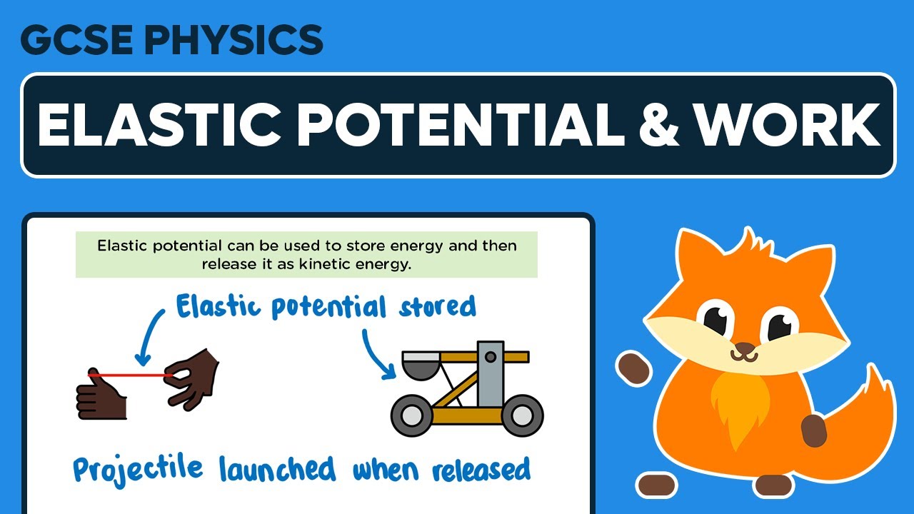 Elastic Potential Energy & Work - GCSE Physics - YouTube