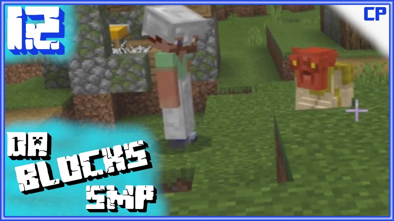 The Turtle Town Merger | Minecraft | Da Blocks SMP | #12 - YouTube