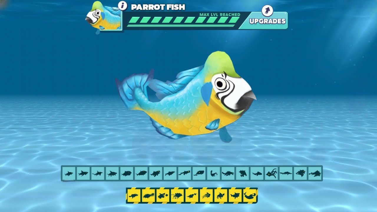 NEW PARROT FISH UNLOCKED AMD GAMEPLAY - Hungry Shark Evolution - YouTube