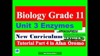 Biology Grade 11 Unit 3 100 Exam Questions With Answers In Afan Oromo ...