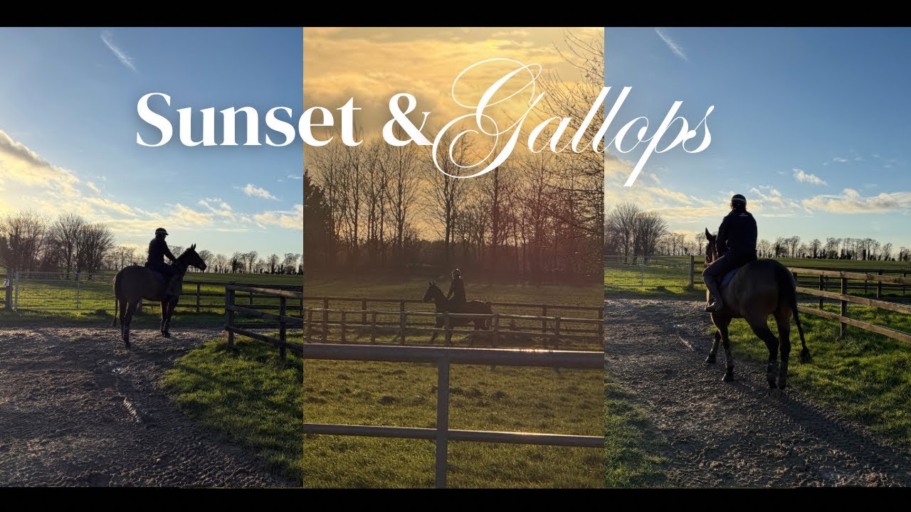 Steady sunset ride at the gallops | lots of bucks and sass from oakley ...