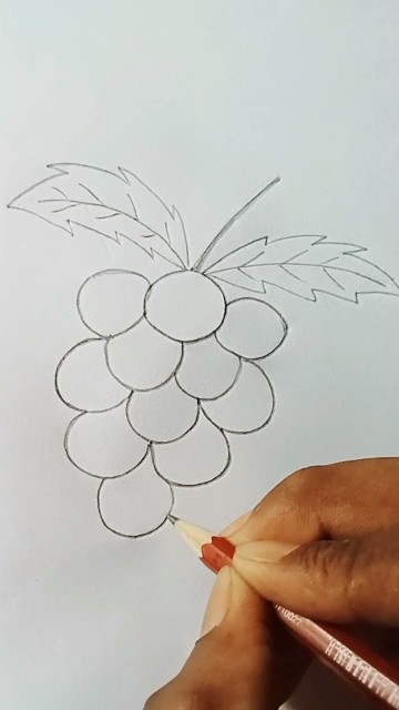 Angur Drawing 🍇🍇🍇 #drawing #art #shorts #foryou @RakibHossainvlogs ...