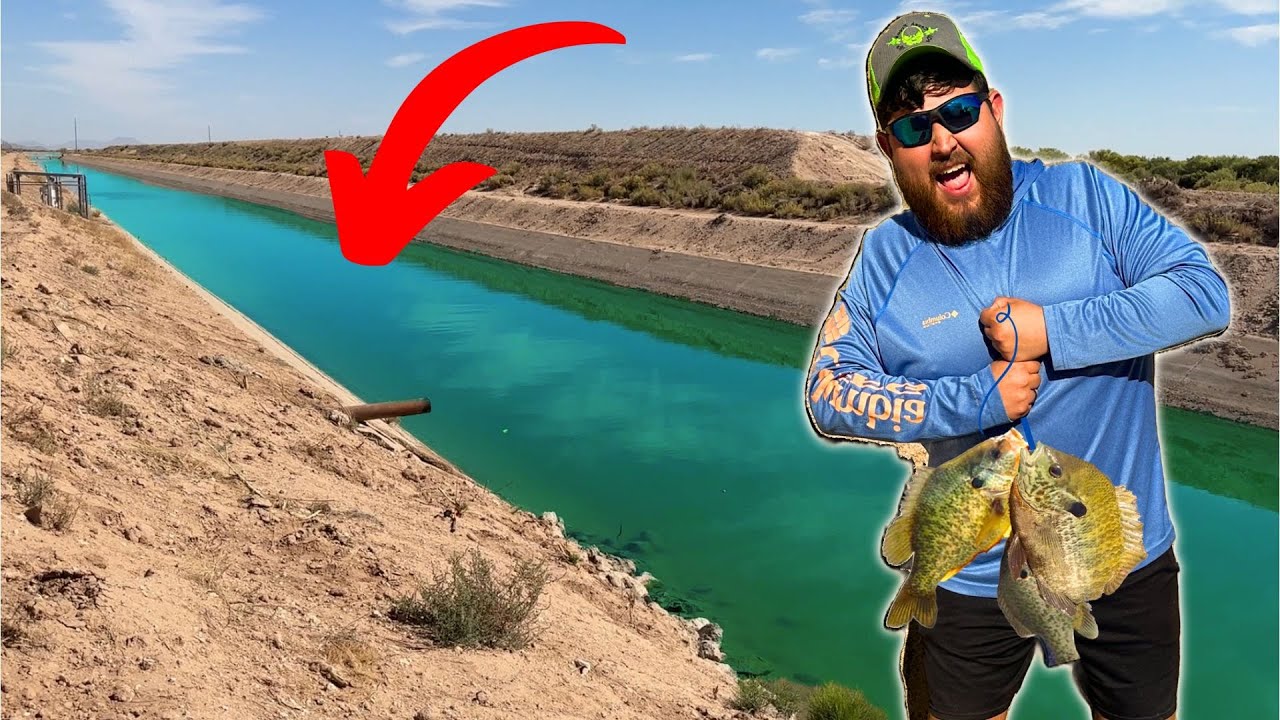 Desert Canal is FULL of All Kinds of Fish! (Catch & Cook) - YouTube