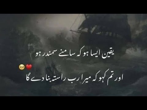 Tarbeat ki kami taleem pora nahi krskte ️ ||Best urdu Quotes || urdu ...