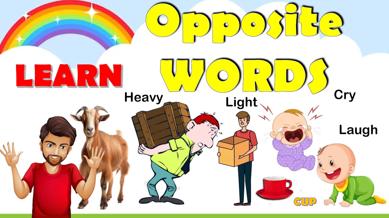 Simple Opposite Words for Toddlers #toddlereducation - YouTube
