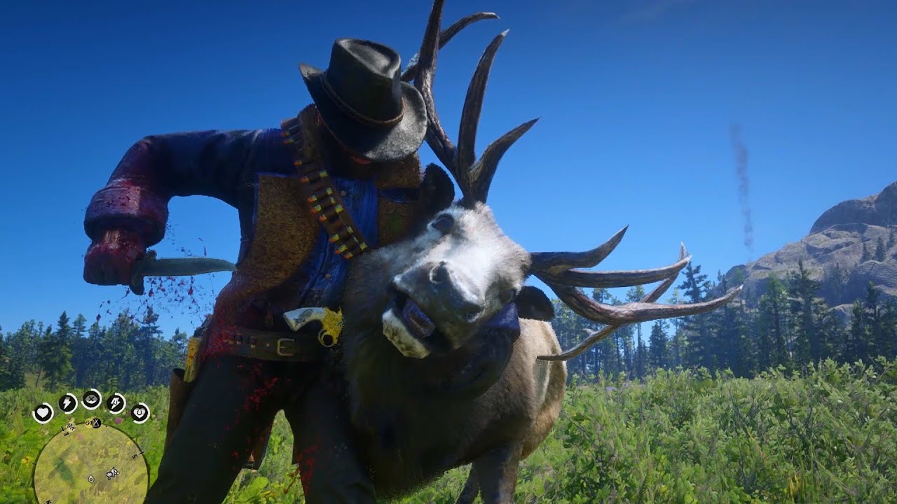 How to get perfect pelt. Red Dead Redemption 2 - YouTube