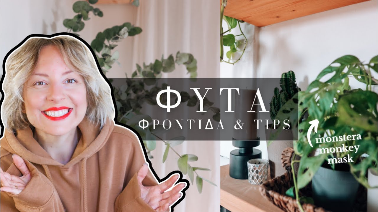 ΠΕΡΙΠΟΙΗΣΗ ΣΤΑ ΦΥΤΑ ΜΕ TIPS | SPRING PLANT CARE | Thania - YouTube
