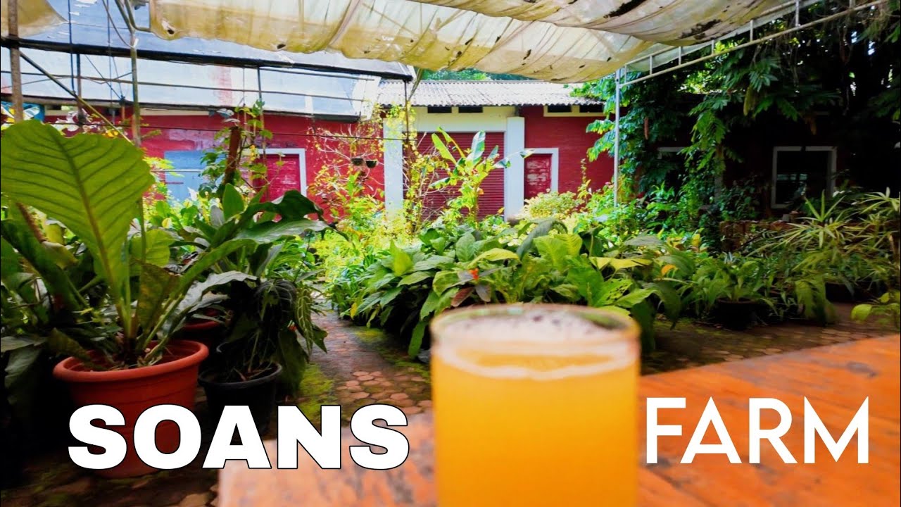 SOANS FARM Moodabidri : Where Nature Meets Luxury #moodabidre # ...