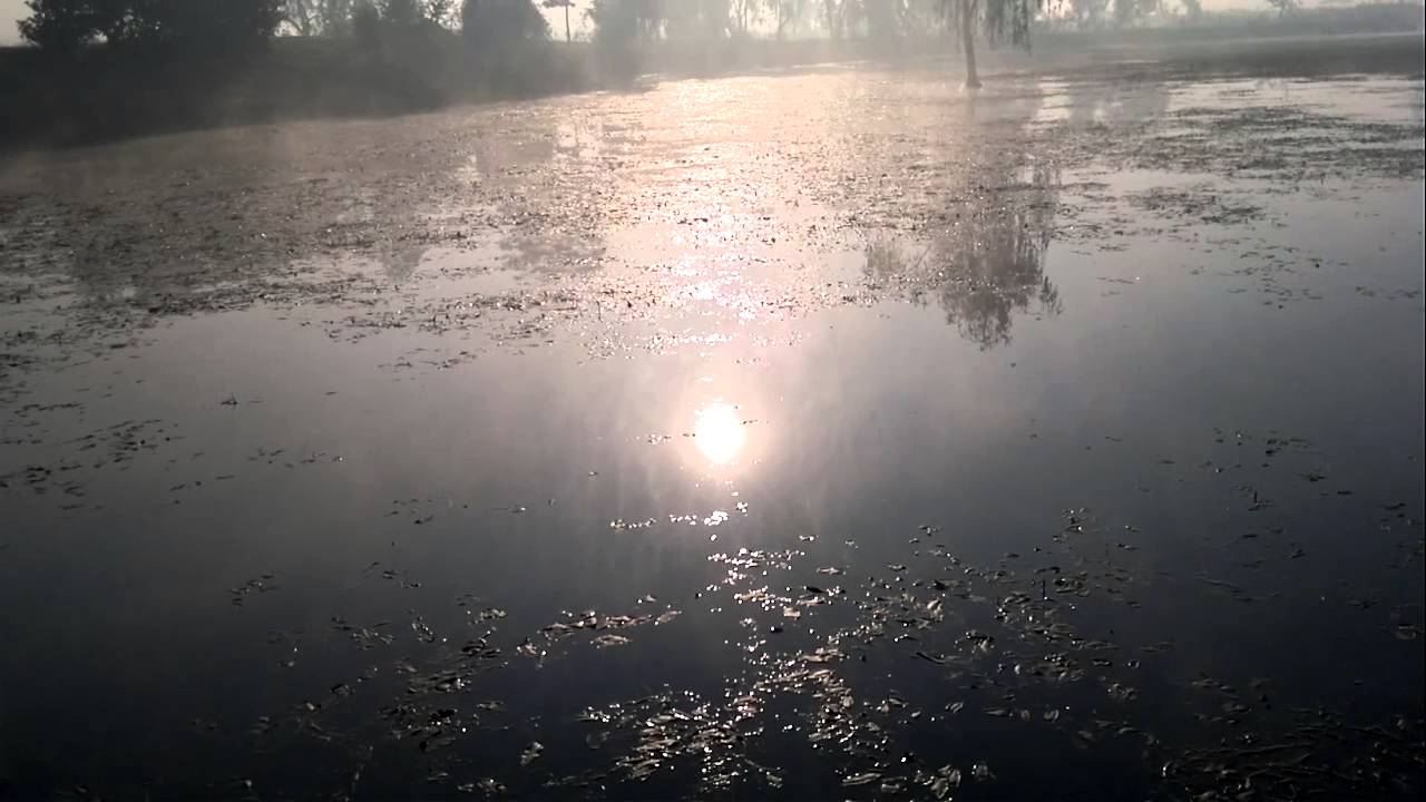 surkhet ko bulbule tal - YouTube