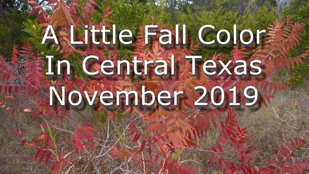 A Little Fall Color In Central Texas November 2019 in 4K - YouTube