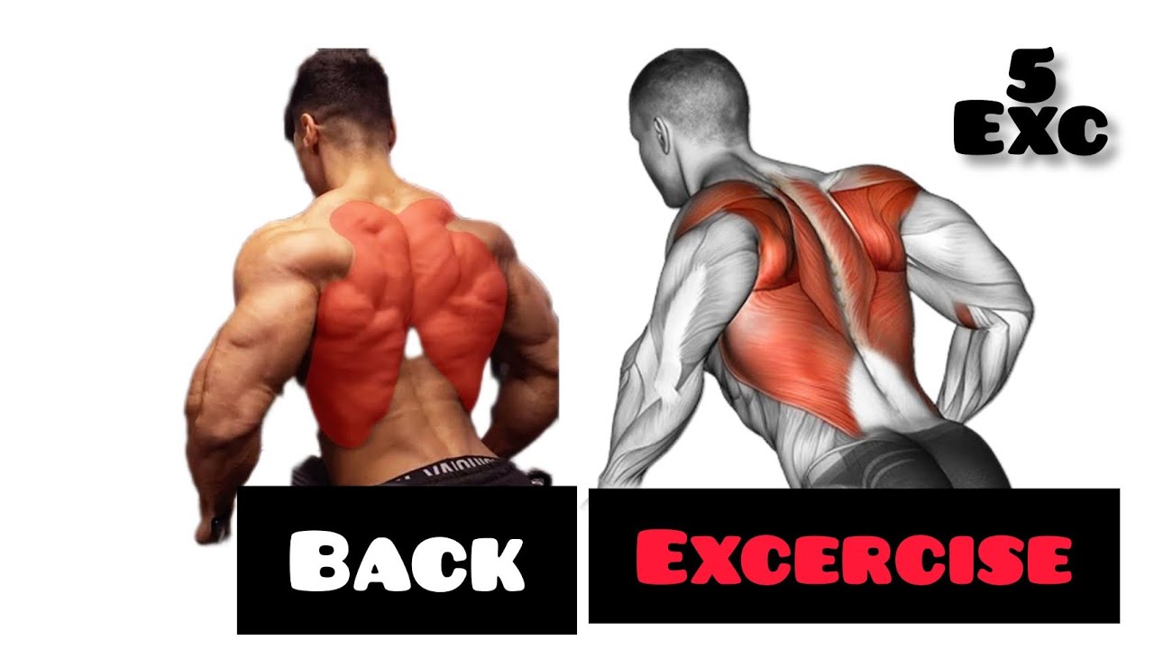 5 BEST BACK WORKOUT AT GYM TO GET BIGGER BACK - YouTube