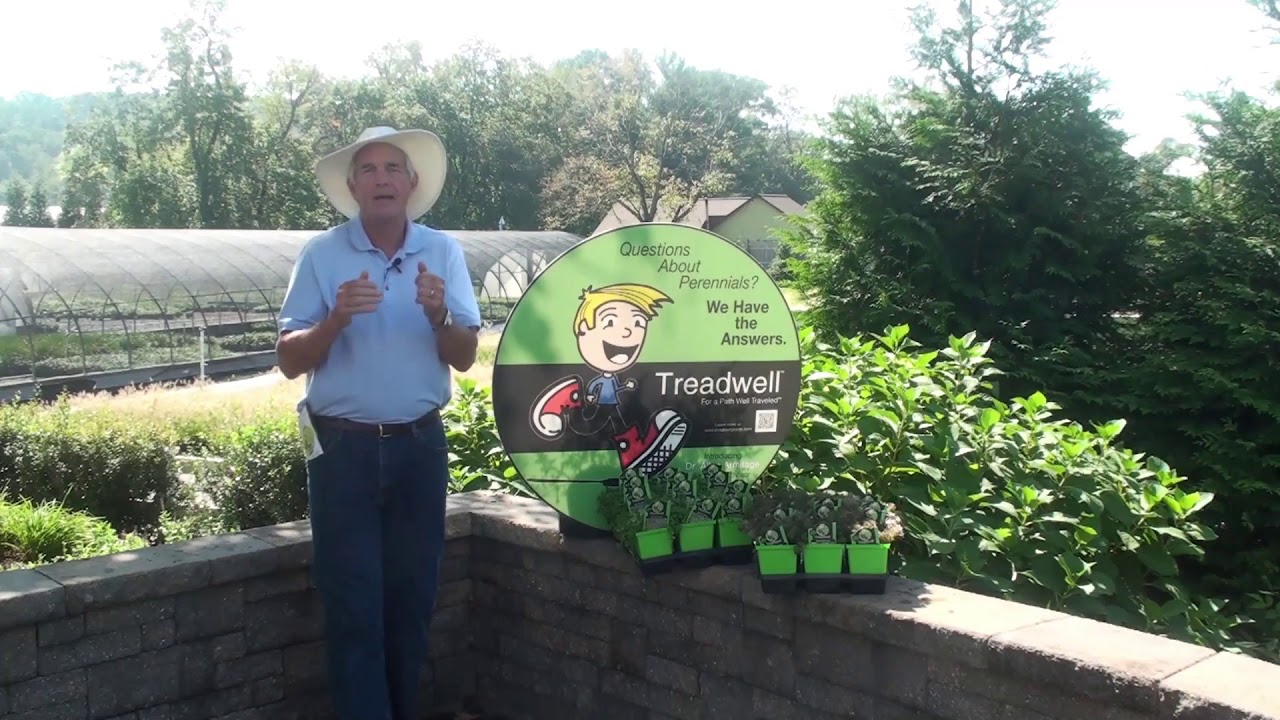 Allan on treadwell - YouTube