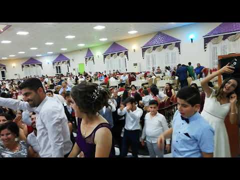 Şensesler Orkestrası irtibat 0536 979 4470