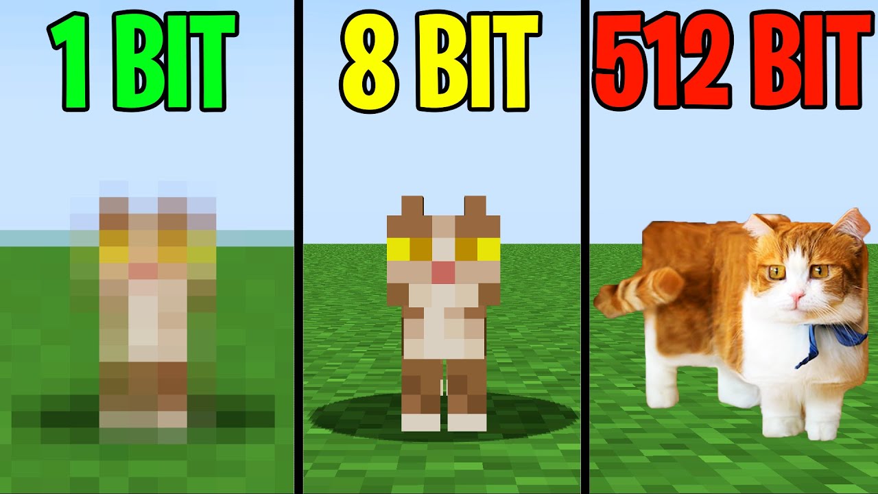 cat 1 bit 2 bit 4 bit 8 bit 16 bit 32 bit 64 bit 128 bits 256 bit 512 ...