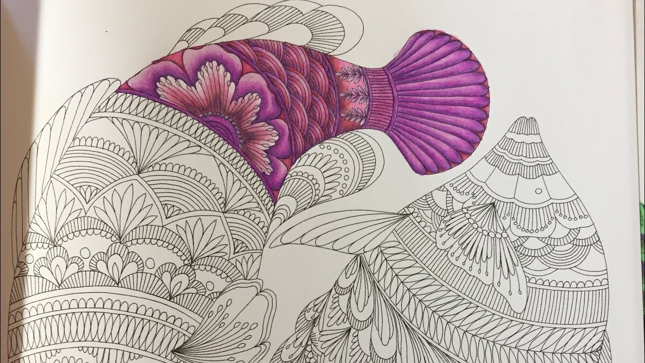 Millie Marotta Animal Kingdom Fish Part 1 - Derwent ProColour Pencils ...