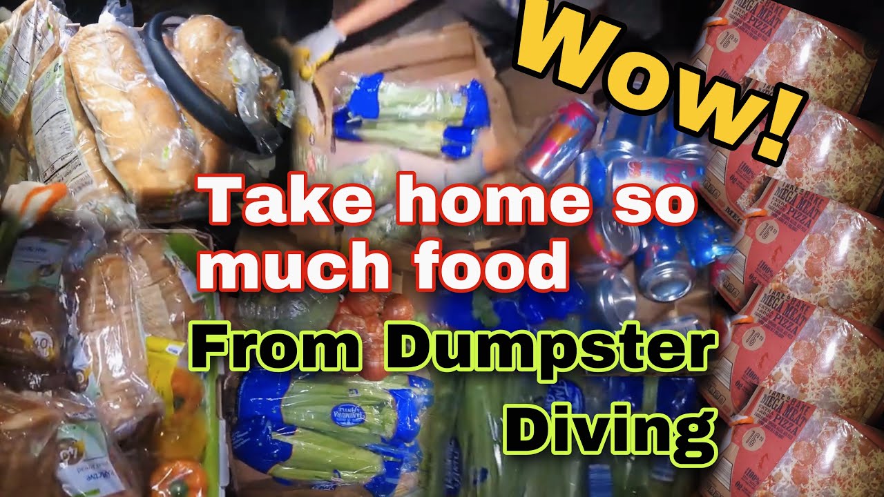 DUMPSTER DIVING, THIS DUMPSTER IS FILLED WITH ORGANIC VEGGIES, CASES OF ...