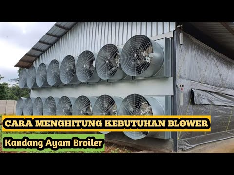 CARA MENGHITUNG KEBUTUHAN BLOWER KANDANG AYAM CLOSE HOUSE - YouTube