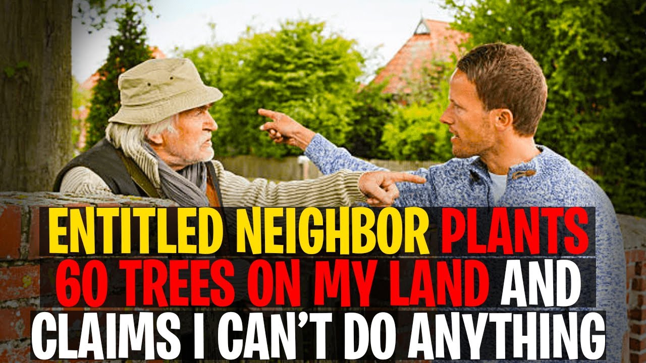 Entitled Neighbor Plants Trees On My Land And Then Claims I Can't Do ...