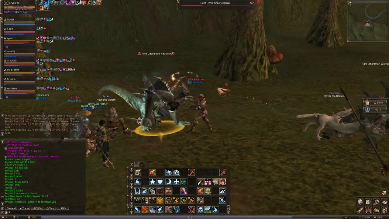 Lineage 2 Classic Warlord Forest of Mirror Quest NA Aden server - YouTube