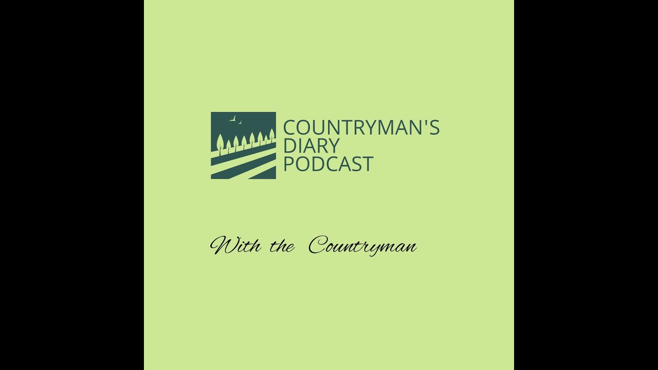 Countryman's Diary Podcasts. 08/02 Martin Whitley - YouTube