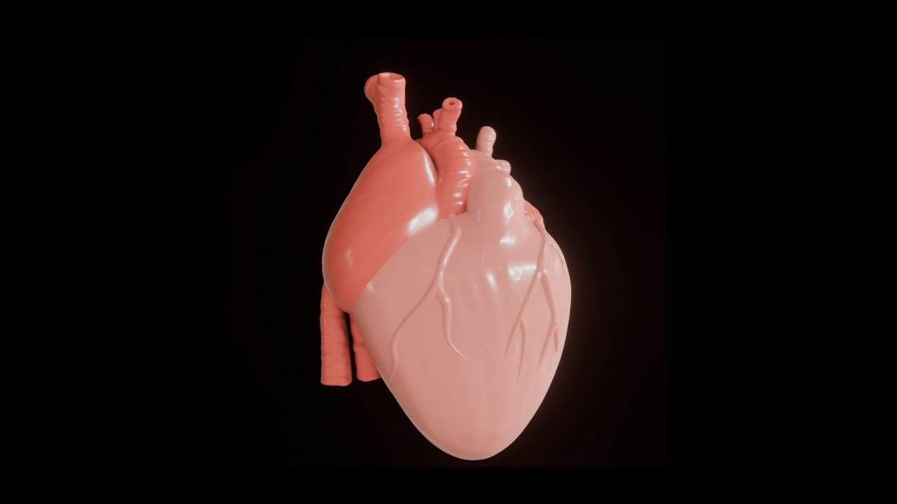 HUMAN HEART BLENDER 3D SCULPTING - Full Process - YouTube