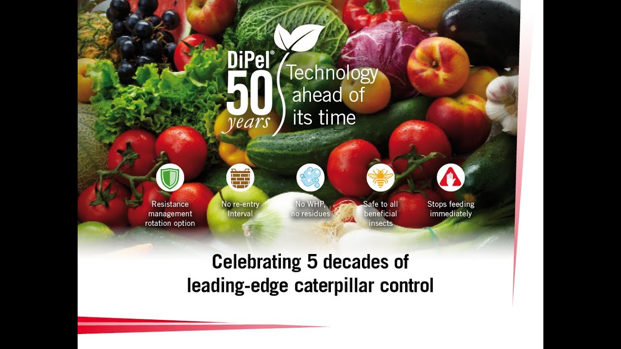 Using DiPel Effectively in Your Operation - YouTube