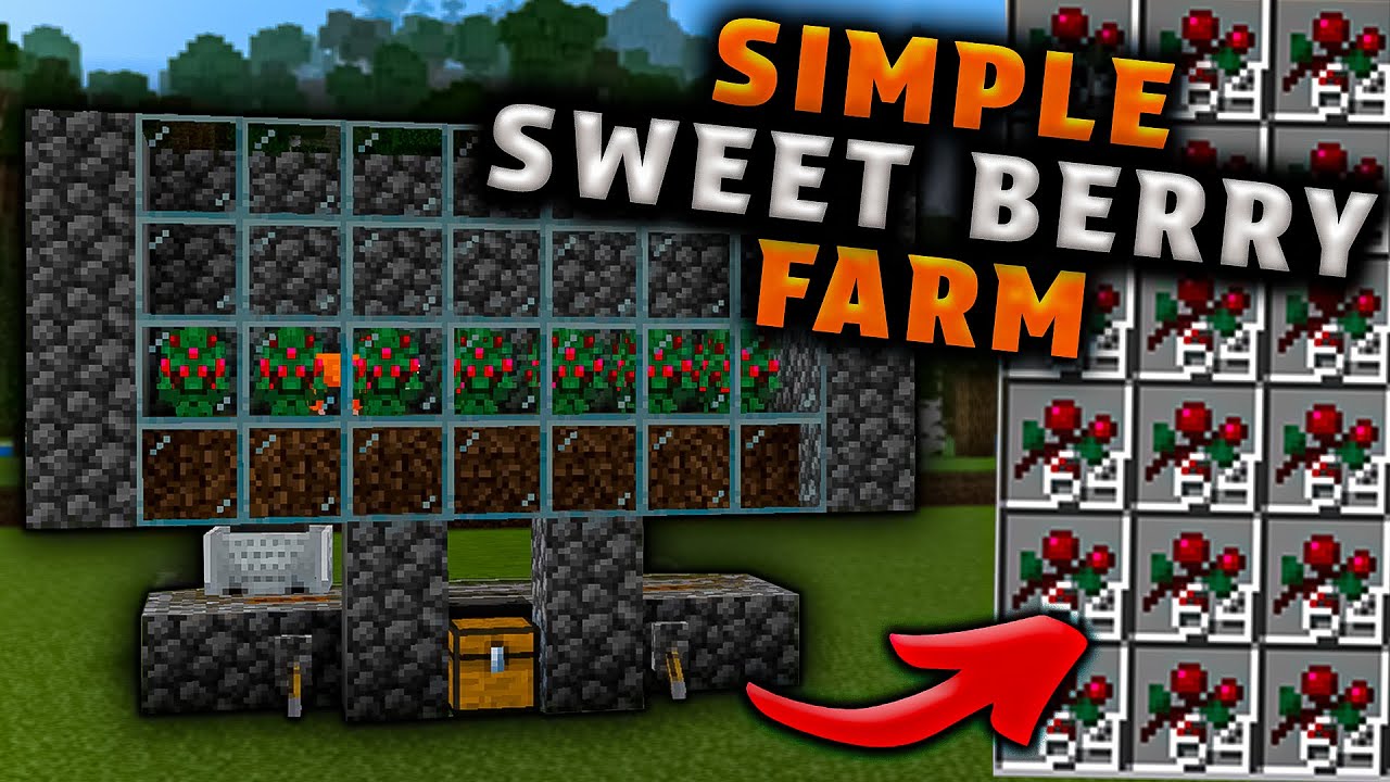Easy 1.20 Sweet Berry Farm for Minecraft Bedrock (Automatic) - YouTube